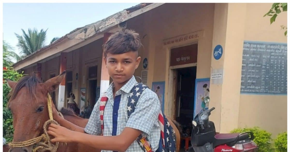 तेरे जैसा यार कहां 5 साल के घोड़े पर स्कूल जाता है 13 साल का बच्चा दोनों की दोस्ती बनी मिसाल