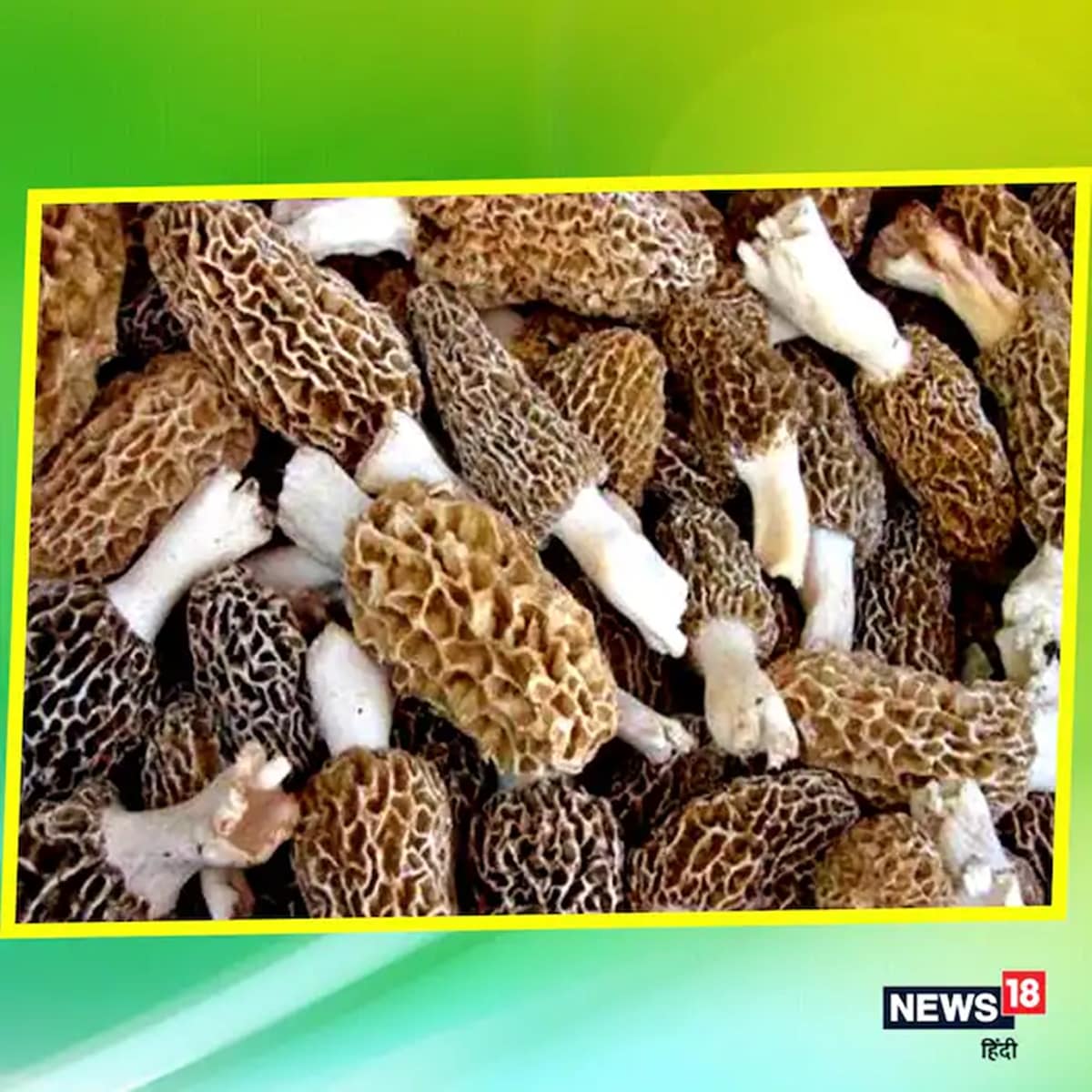 ये है भारत की सबसे महंगी सब्जी, एक्टर सनी देओल के बेटे की शादी में भी ...