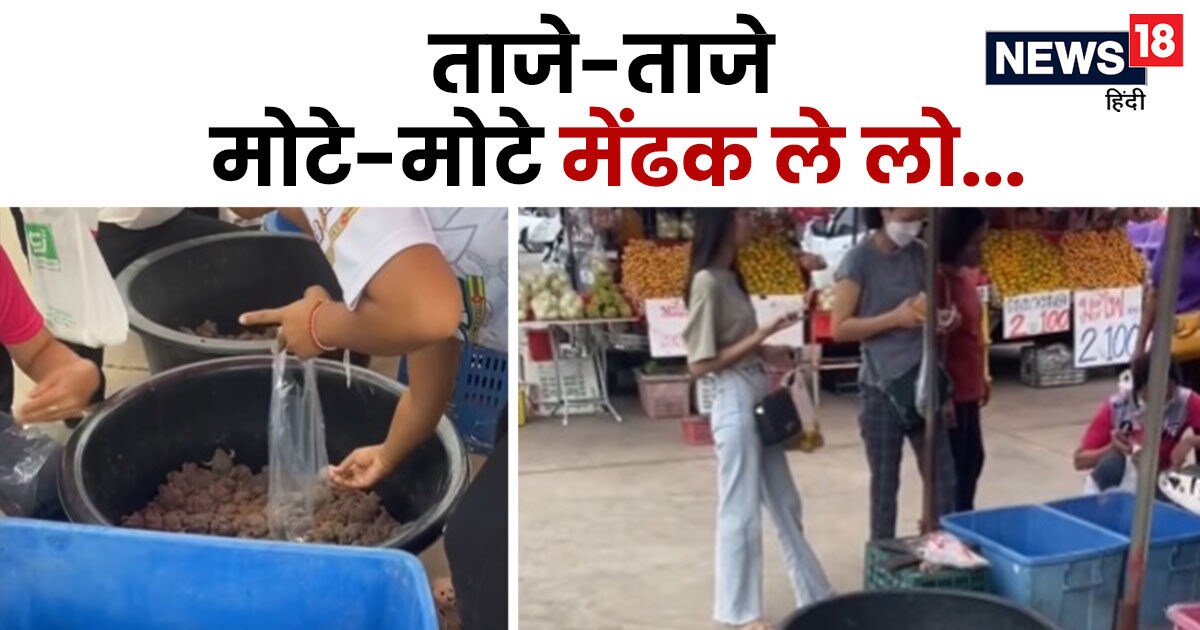 बाजार में बिक रहे थे मेंढक, आलू-प्याज की तरह चुनते दिखे लोग, मोटे-ताजे ...