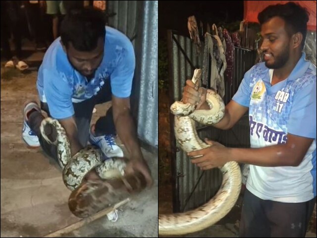 अजगर के साथ शख्स की जबरदस्त लड़ाई, उसने ऐसे दबोचा सांप का मुंह… VIDEO ...
