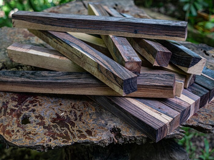 African blackwood tree farming earn 7 lakh from 1kg wood one tree can ...