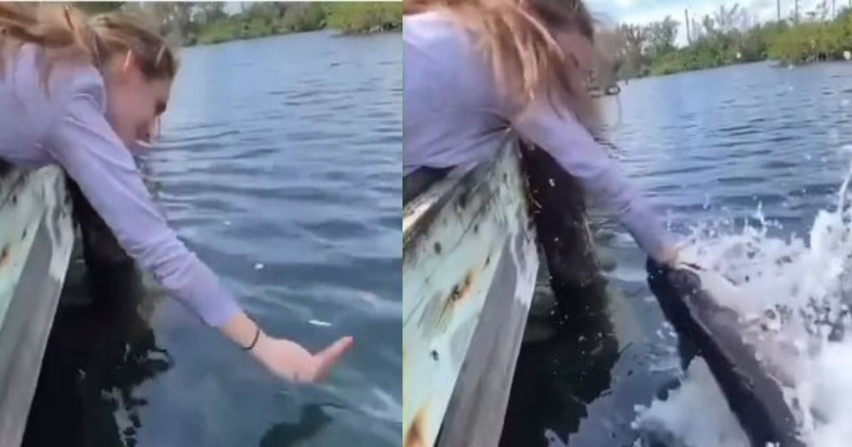 खाना खिला रही महिला पर मछली ने किया अटैक, और फिर... जो हुआ से उसे देख ...