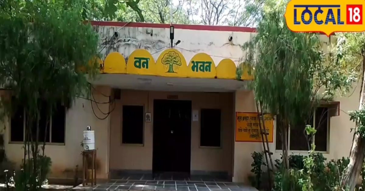 TOFR के तहत वन विभाग ने तैयार किए 1 लाख 10 हजार पौधे, शुरु हुई खरीदारी ...