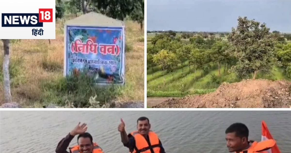 Nidhivan : वृंदावन नहीं जा पा रहे हैं तो कोई बात नहीं, अब यहां भी बन रहा है एक निधिवन - Along ...