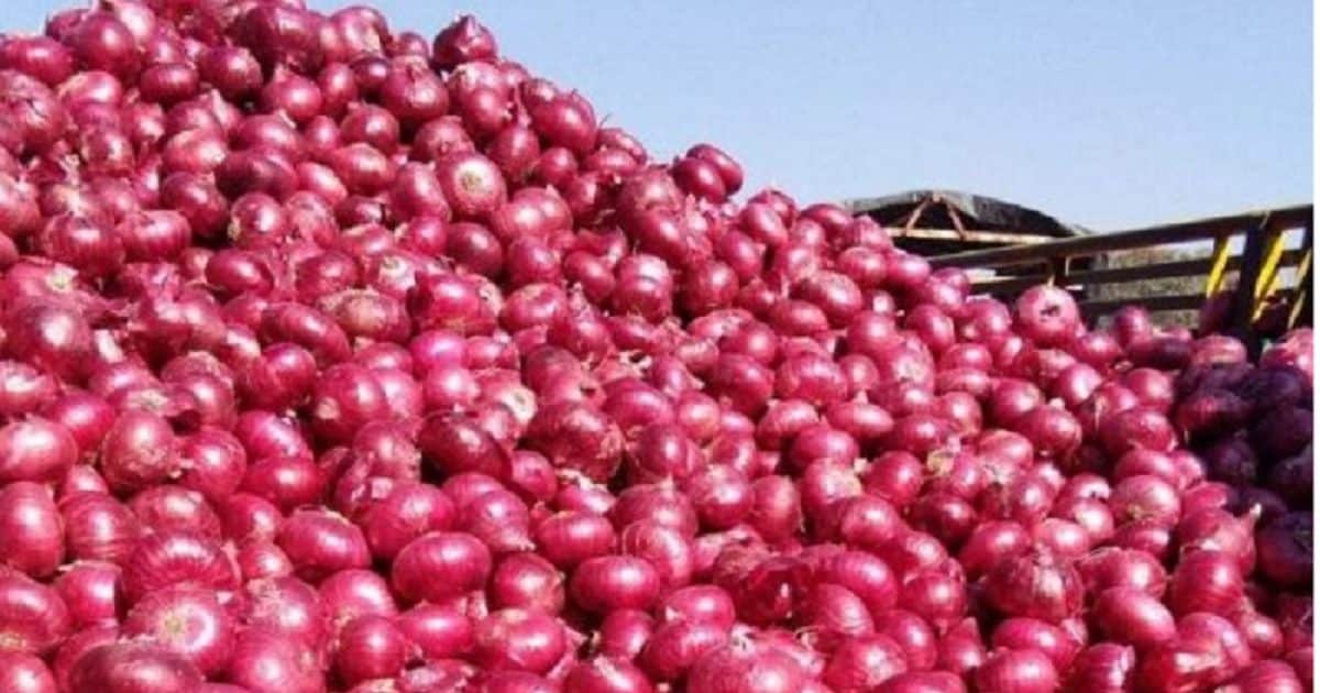 Onion Price Hike: प्याज के दाम बढ़ते ही एक्शन में केंद्र सरकार, ग्राहकों को राहत देने के लिए बफर ...