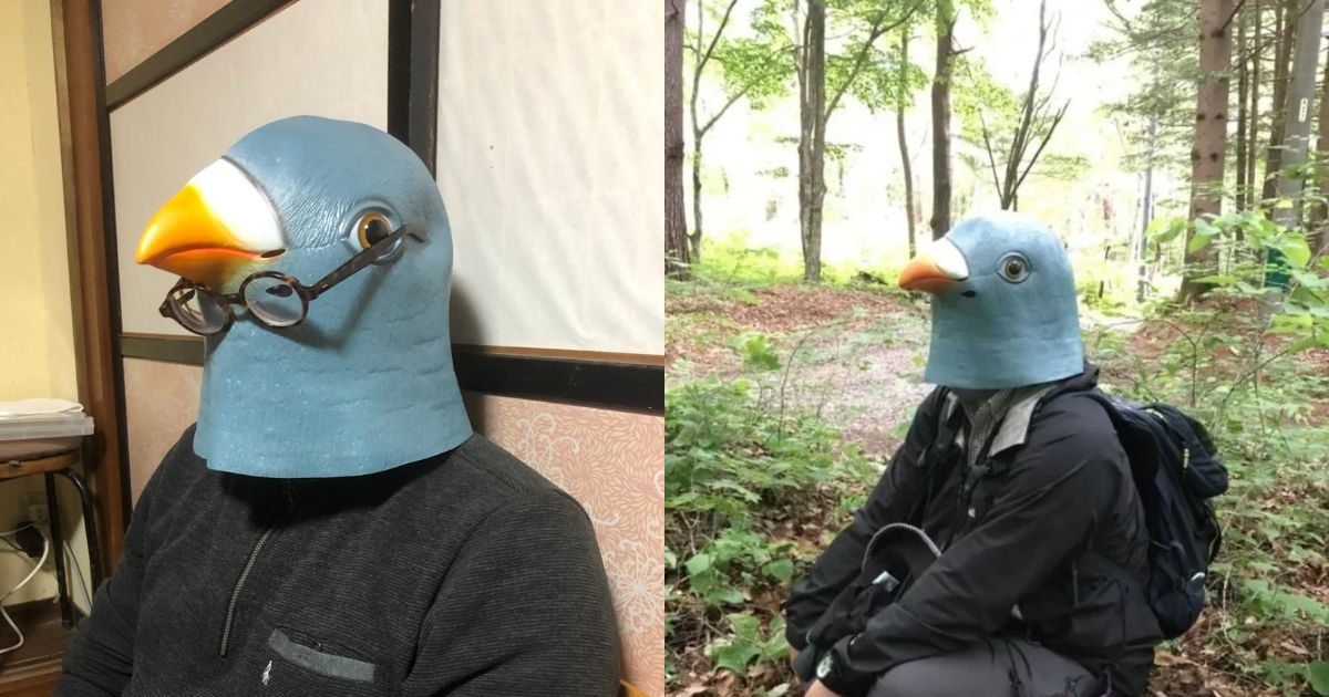 पक्षियों से करनी थी दोस्ती, 1 साल तक वैज्ञानिक ने पहना चिड़िया का ...