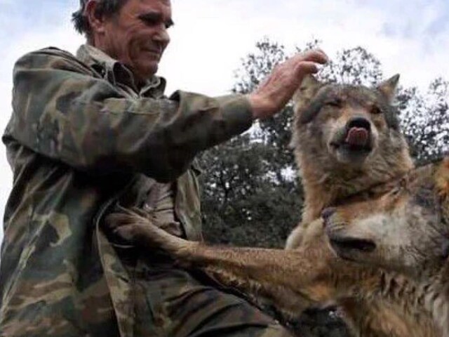 ये है रियल लाइफ मोगली, भेड़ियों के बीच पला-बढ़ा, रहना ही नहीं चाहता ...