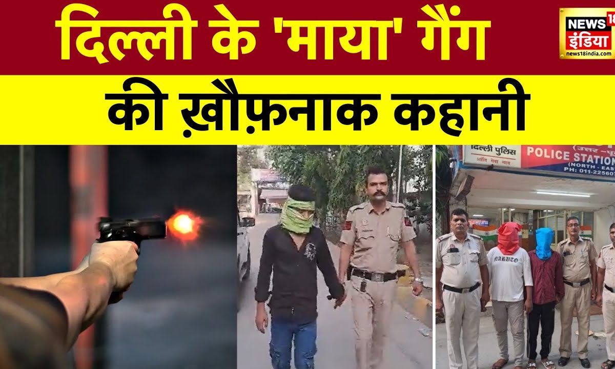 Bhajanpura Maya Gang: Delhi के चार गैंग से प्रभावित था 'किंग माया ...