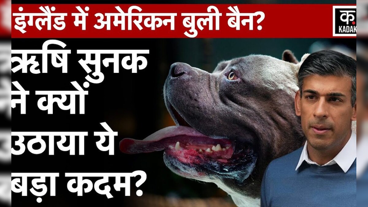 Rishi Sunak ने England में American Bully Dog breed पर लगाया ban, 11 ...
