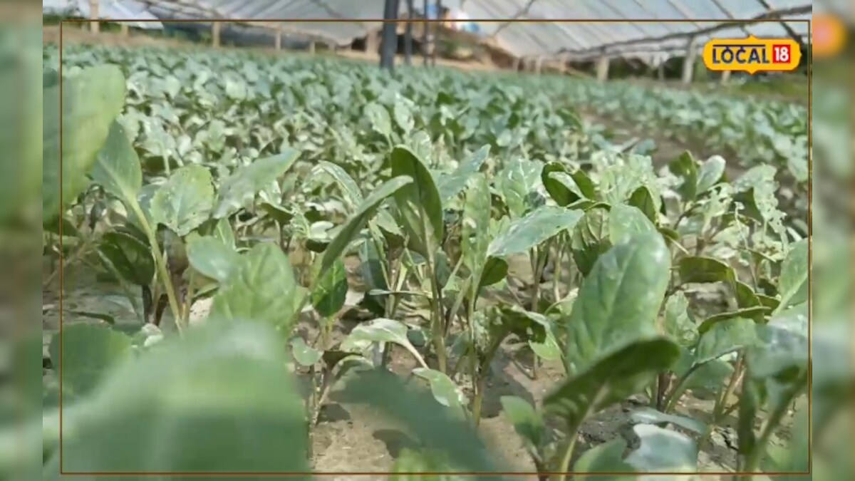 Bihar Weather Alert: उत्तर बिहार में बदलेगा मौसम, इन जिलों में होगी ...