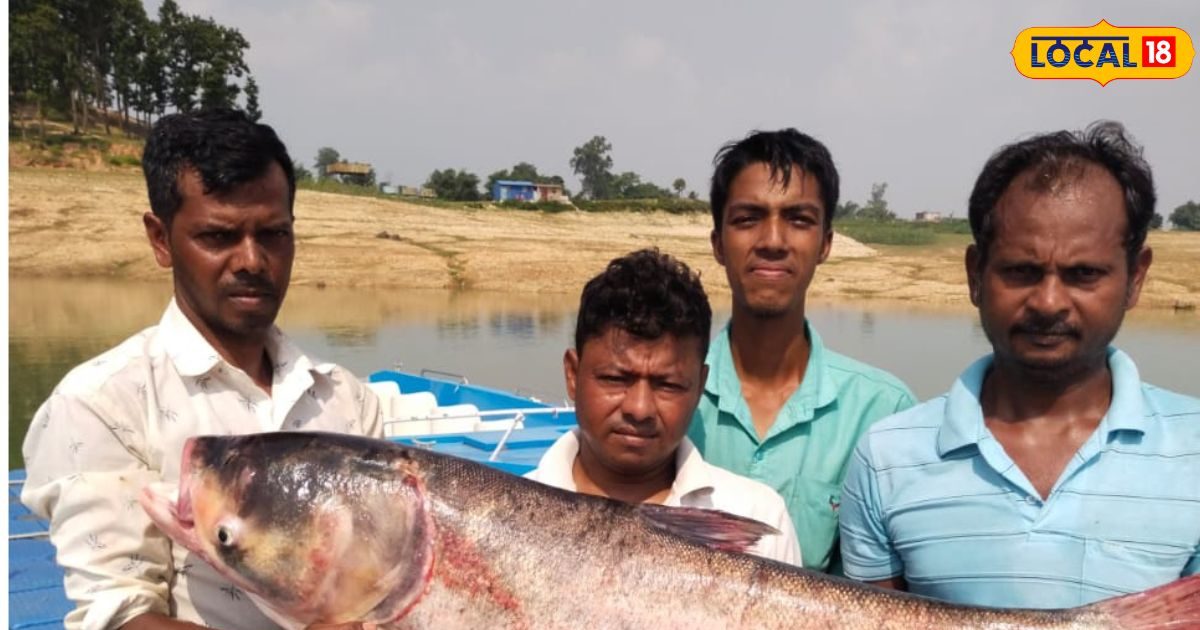 Bokaro fish farmer caught big fish of 40 kg