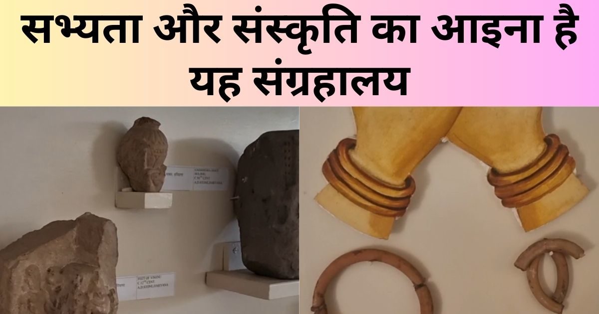 सभ्यता और संस्कृति का आइना है यह संग्रहालय, हड़प्पा कालीन अवशेषों का है ...