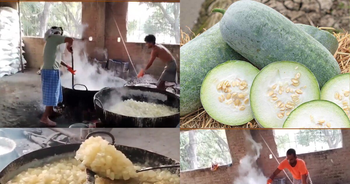 PHOTOS: चंपारण मटन जितना ही मशहूर यहां का पेठा, अन्य राज्यों के लोग भी ...