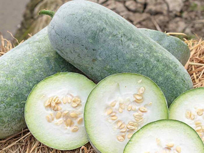 PHOTOS: चंपारण मटन जितना ही मशहूर यहां का पेठा, अन्य राज्यों के लोग भी ...