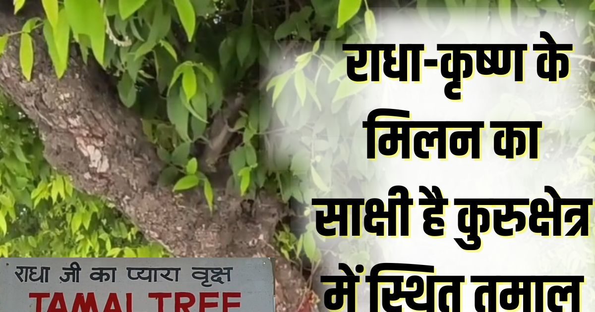 राधा-कृष्ण के मिलन का साक्षी है... कुरुक्षेत्र का यह तमाल वृक्ष, जानें ...