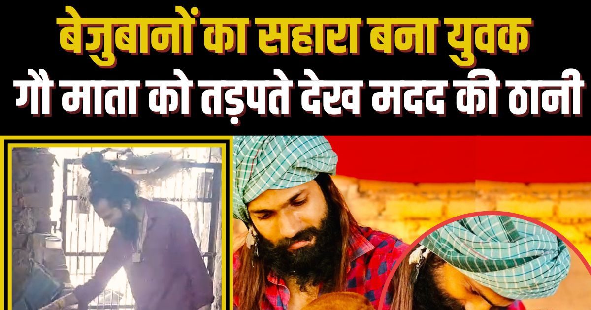 बेजुबानों का सहारा बना हरियाणा का ये युवक बचपन में गौ माता को तड़पते