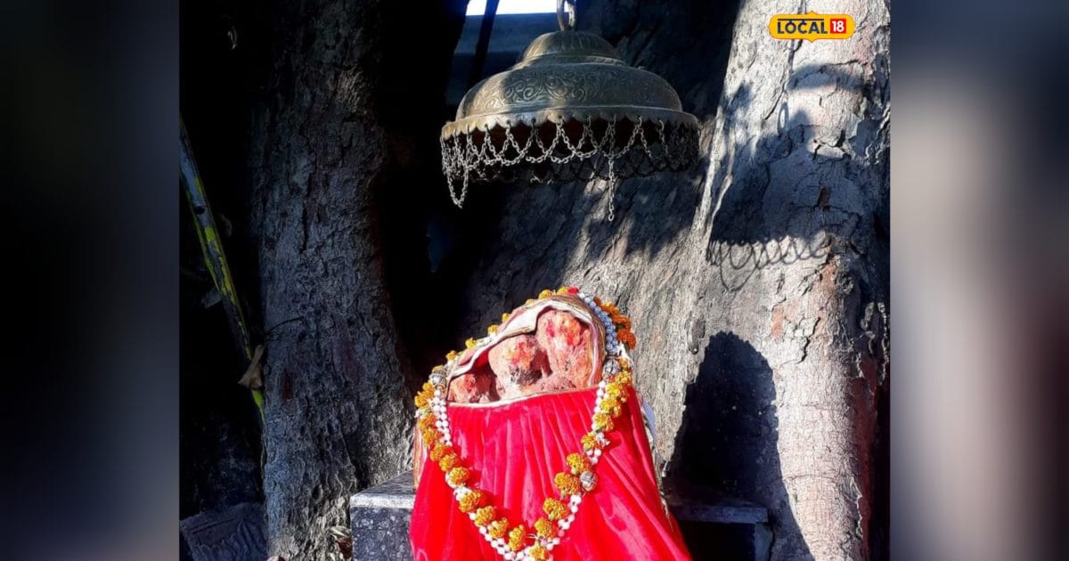 अद्भुत है मां पथवारी देवी की कहानी, दर्शन मात्र से ही मिलता है संतान ...