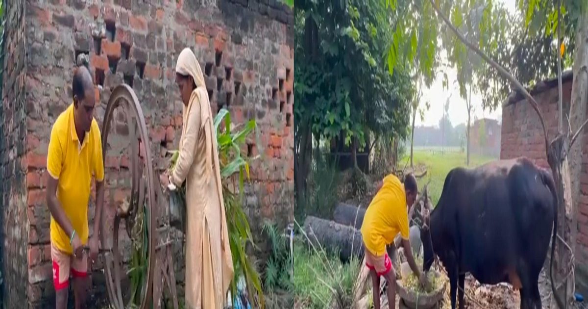 Bihar: बिहार के मंत्री जी का अनोखा अंदाज, हाफ पैंट और टीशर्ट पहनकर खुद ...