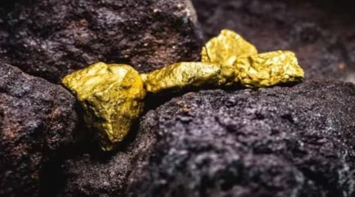 भारत का यह राज्य है 'सोने की चिड़िया', यहां खदानों से खूब निकला गोल्ड ...