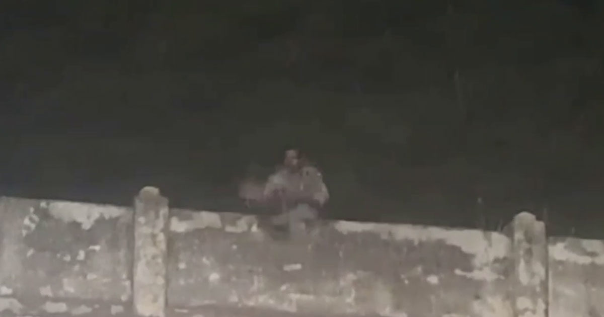 Prayagraj News: नीचे खड़ी पुलिस पर चोर ने छत से बरसाए पत्थर, नूरा ...