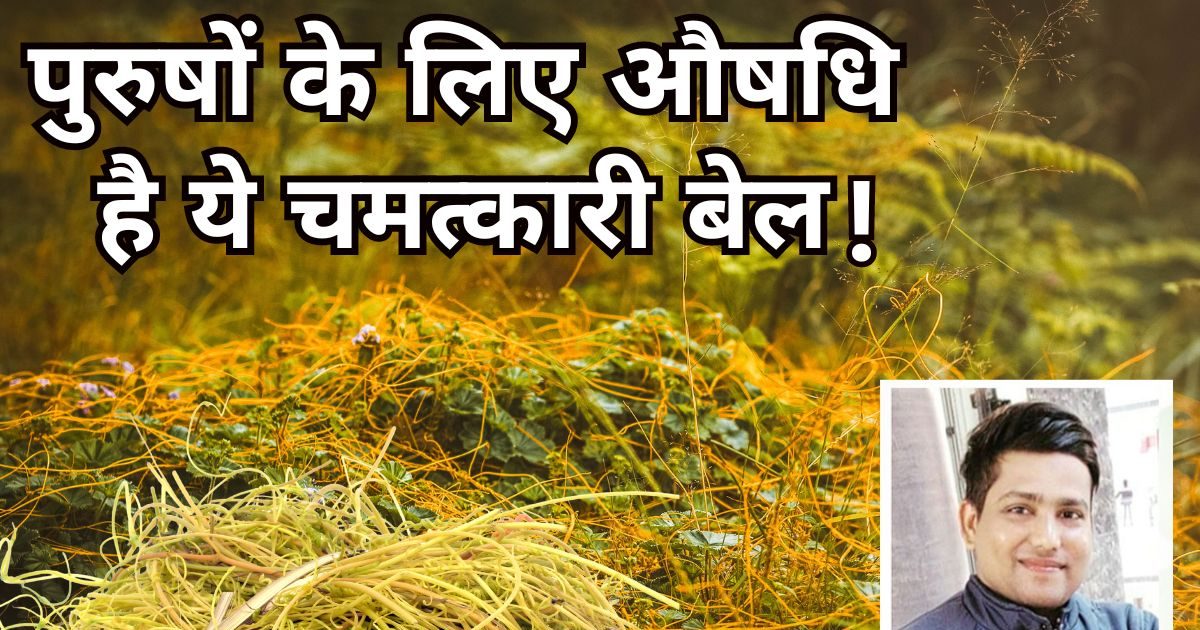 पुरुषों के लिए औषधि है यह बेल, 4 परेशानियों को चुटकियों करती है दूर ...