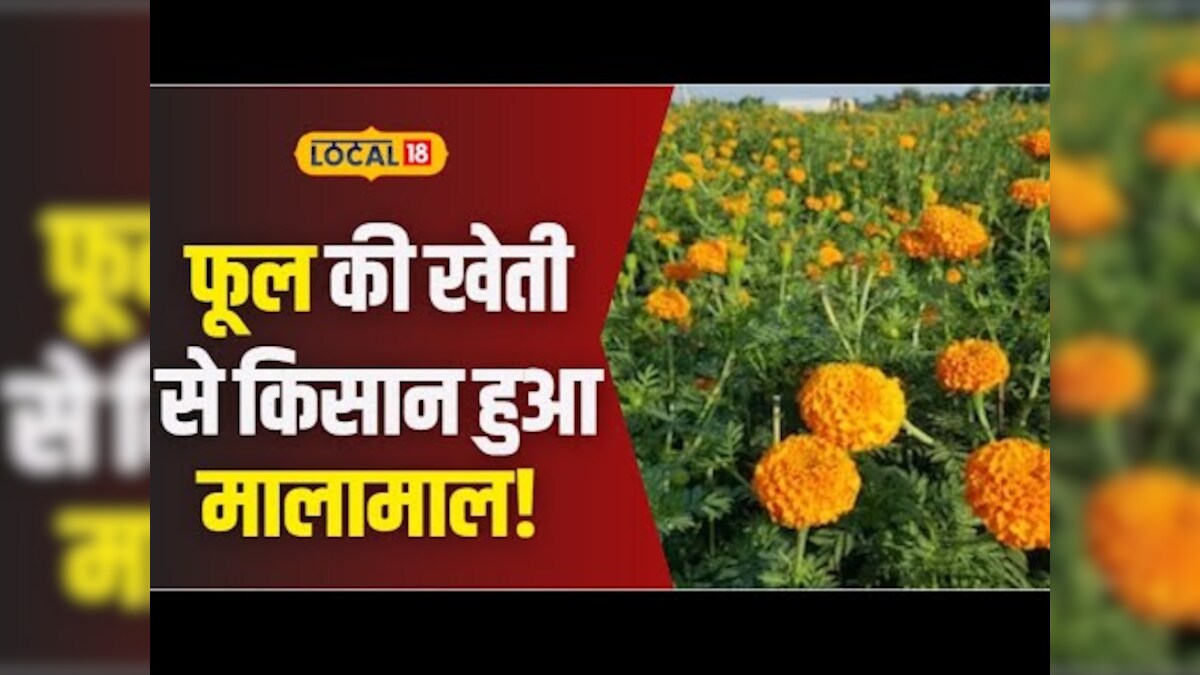 Flower Farming: फूल की खेती से Bihar का किसान हुआ मालामाल, जानें कितनी ...