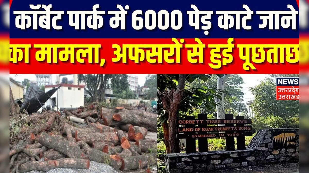 Uttarakhand News: कॉर्बेट पार्क में 6000 पेड़ काटे जाने का मामला, अफसरों से हुई पूछताछ ...