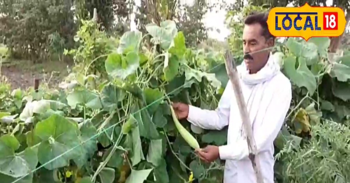 गेहूं, धान और मौसमी सब्जियों की जैविक संसाधनों से खेती कर रहा ये किसान ...