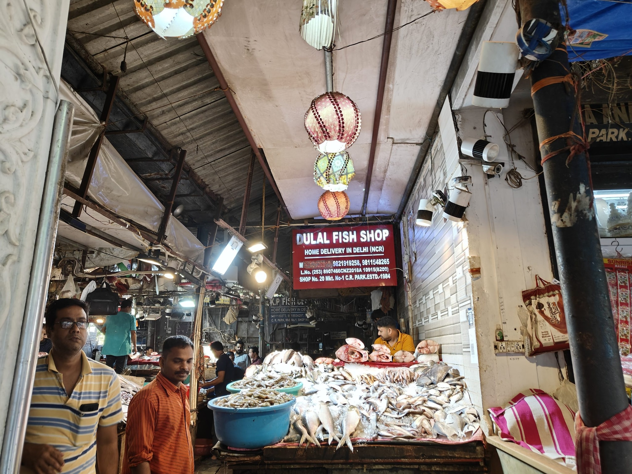 दिल्ली का सबसे सस्ता मछली बाजार...यहां खरीदें बंगाल की हिल्सा ...
