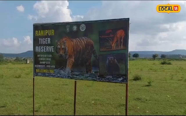 पाठा के जंगलों में डकैतों की गोली नहीं अब गूंजेगी बाघ की दहाड़, बनेगा ...