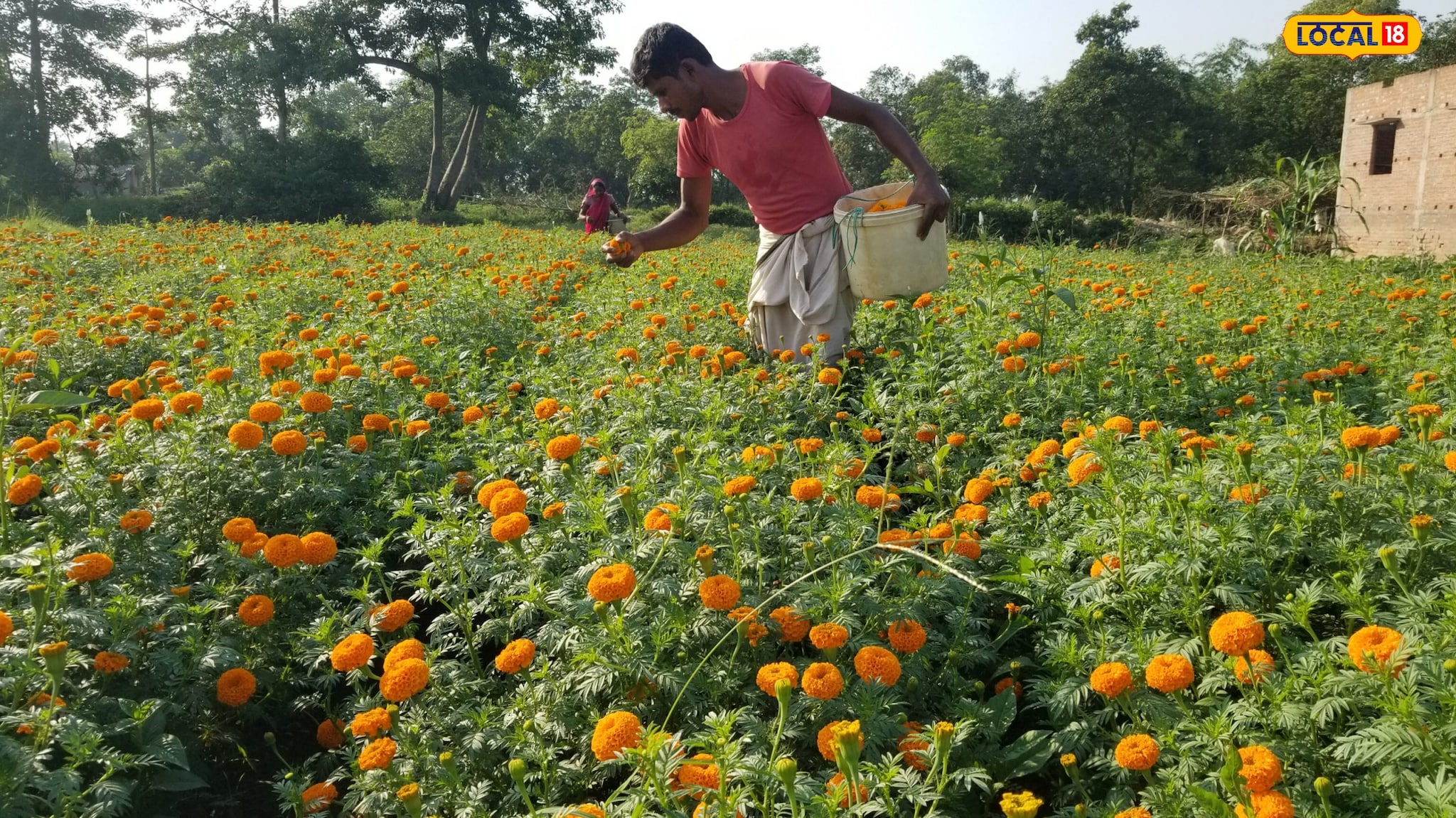 फूलों के गांव के नाम से मशहूर है बिहार का यह गांव, यहां हर घर में होती ...