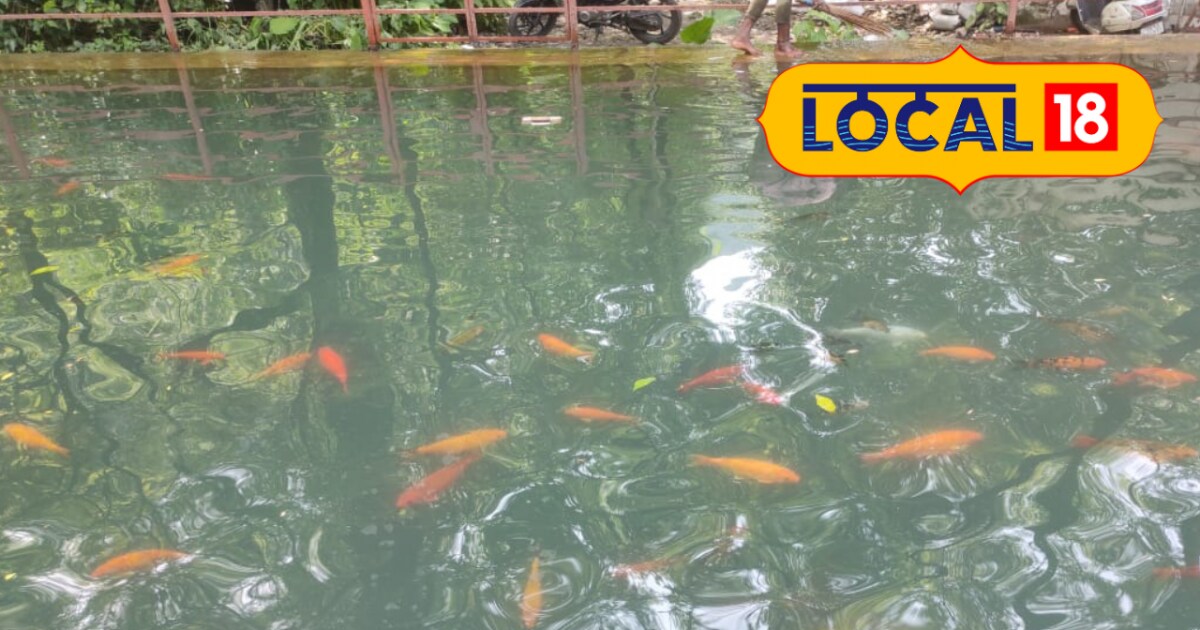 चमत्कारी है प्राचीन गरुण मंदिर का तालाब! मछलियों को पेड़ा खिलाने से दूर ...