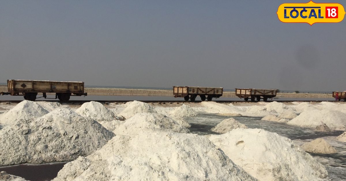 नमक के बिना नहीं आता किसी सब्जी में स्वाद, जानें सांभर झील में कैसे ...