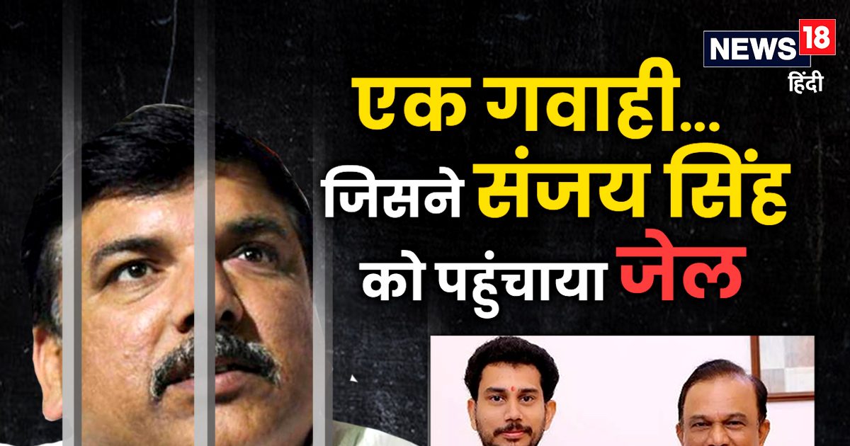 सांसद का वो बेटा जिसकी गवाही पर जेल गए AAP नेता संजय सिंह, ED ने बताया ...