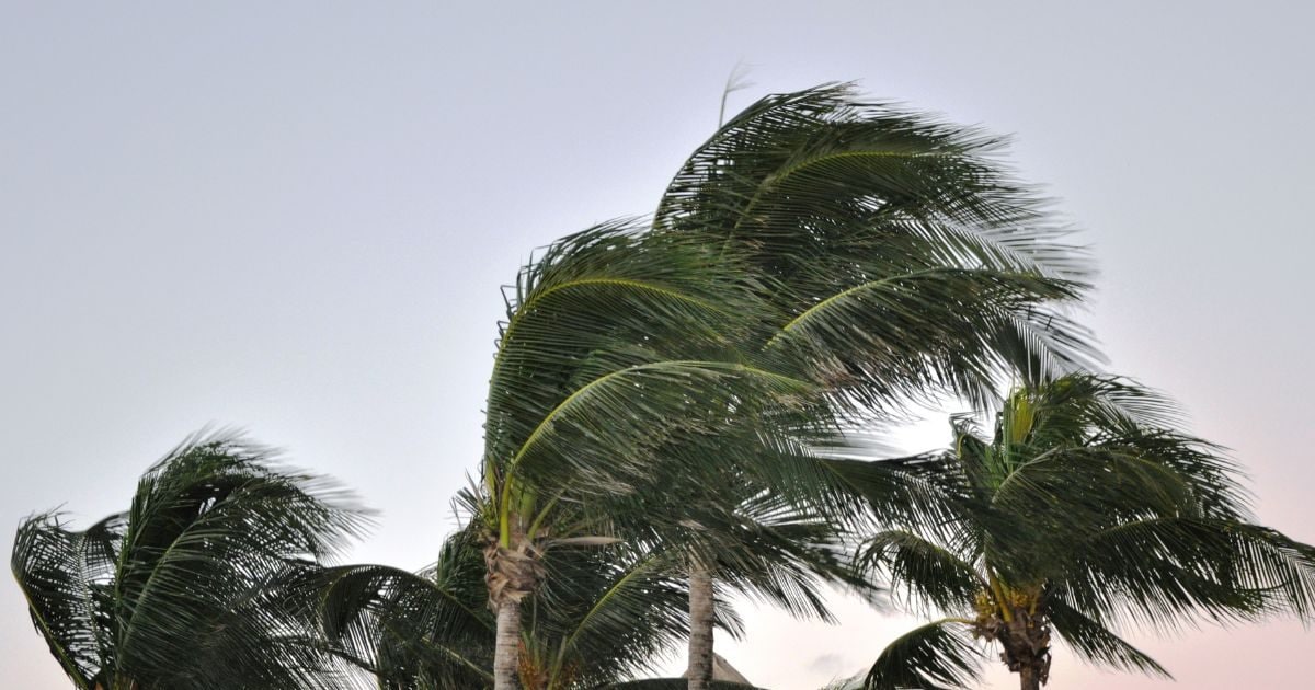 हवा कैसे चलती है और कहां से आती है? पूछा गया सवाल, क्‍या आपके पास है ...