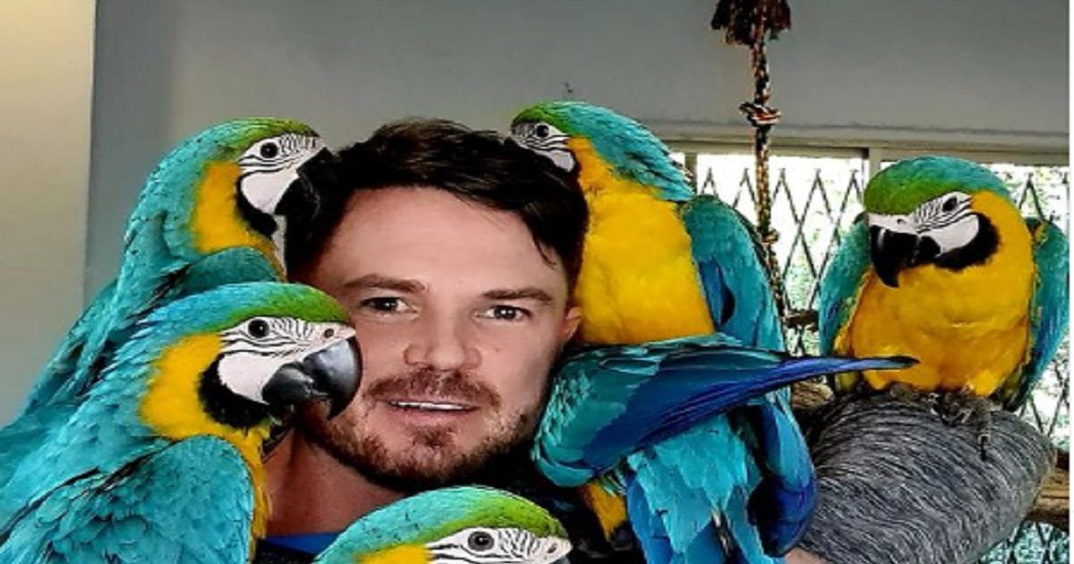 6 तोतों का बाप है ये शख्स, घर में बनाया है अलग बेडरुम, 'पापा' को चूमे ...