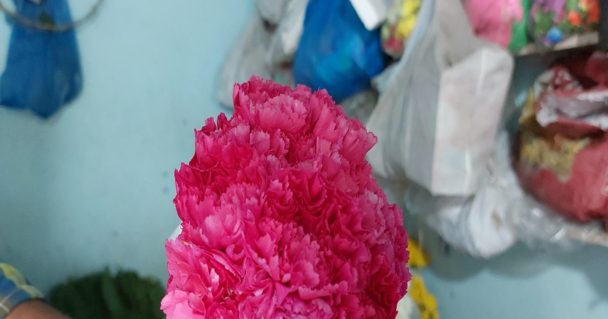 Shadiya Navratri: चेन्नई, कोलकाता व बेंगलुरु के फूल से सजेगा माता का ...