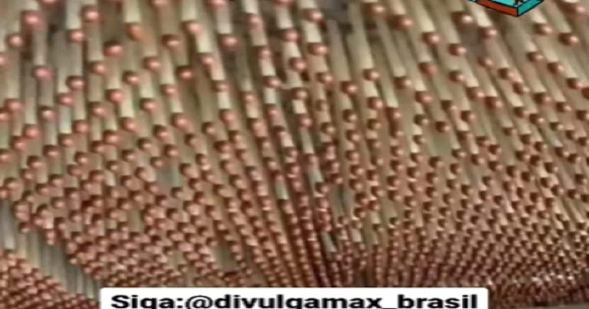 आसान नहीं माचिस की छोटी-सी तीली बनाना, बड़ी-बड़ी लकड़ियों की यूं होती ...