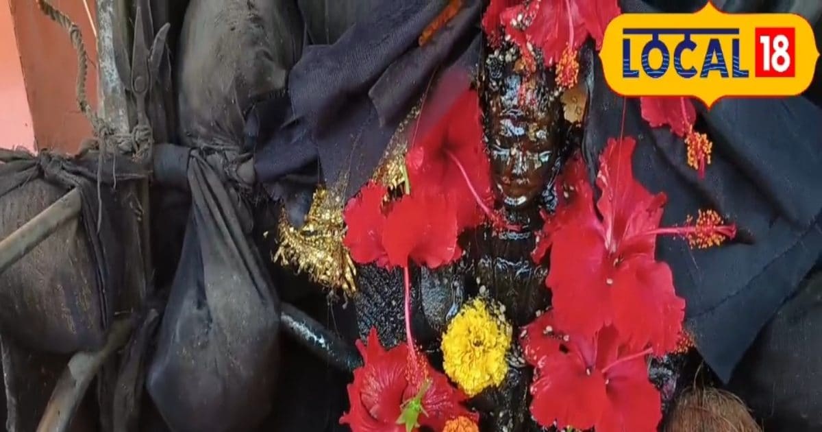 इस पीपल के वृक्ष के नीचे विराजे भगवान शनिदेव, भक्तों का लगता है तांता ...