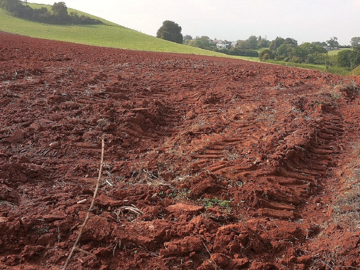 Know why Soils have variations in its colour and what does it mean ...