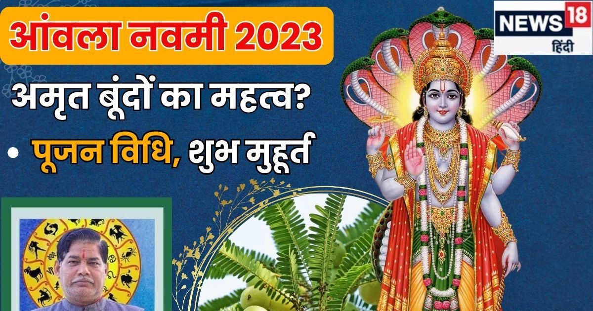 Amla Navami 2023: रवि योग में आंवला नवमी आज, व्रत का मिलेगा दोगुना लाभ ...
