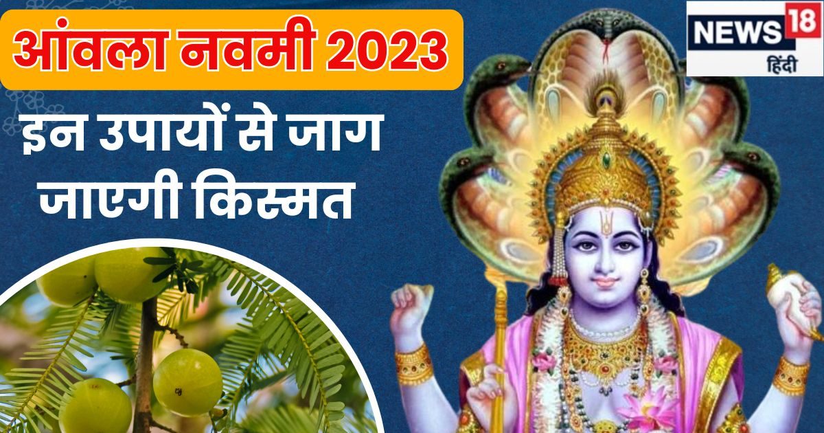 Amla Navami 2023: आंवला नवमी आज, जरूर करें 5 आसान उपाय, खुश होकर चली ...