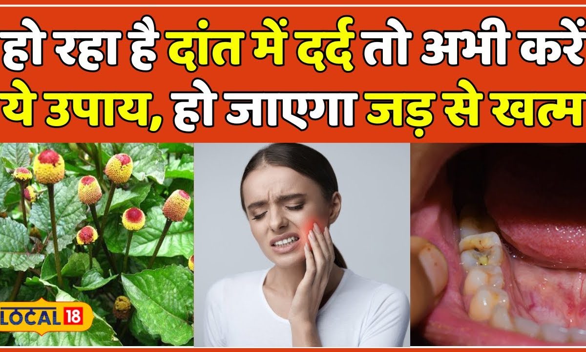 Akarkara Benefits: दांतो के दर्द की जड़ से छुट्टी कर देगा ये फूल, जाने ...