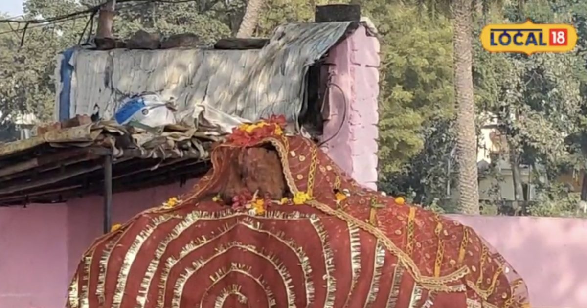 The history of Jogni bai temple is 500 years old, water of the stepwell ...