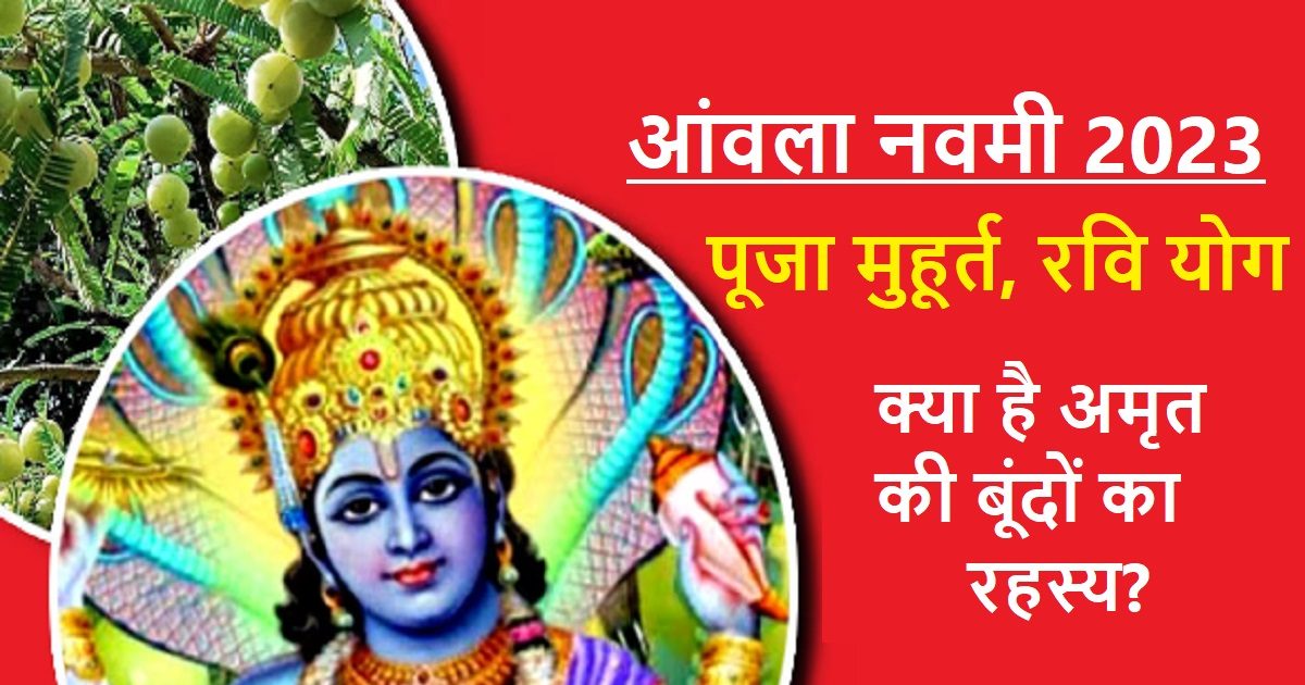 Amla Navami 2023: आंवला नवमी आज, रवि योग में है व्रत, जानें पूजा ...