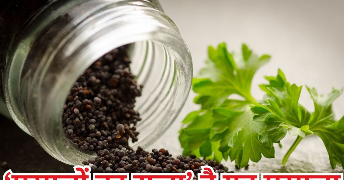 मसालों का राजा है यह मिर्च! बैक्टीरिया निपटाए, खांसी-बलगम से निजात ...