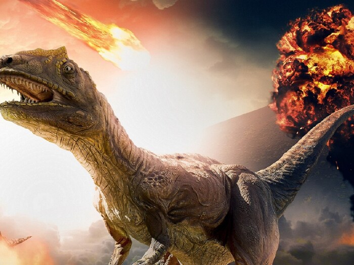 Dinosaur extinction caused by nuclear winter from asteroid impact know ...
