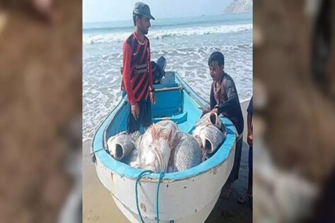 पाकिस्तानी मछुआरे की रातोंरात बदली किस्मत, दुर्लभ मछली बेचकर बना ...