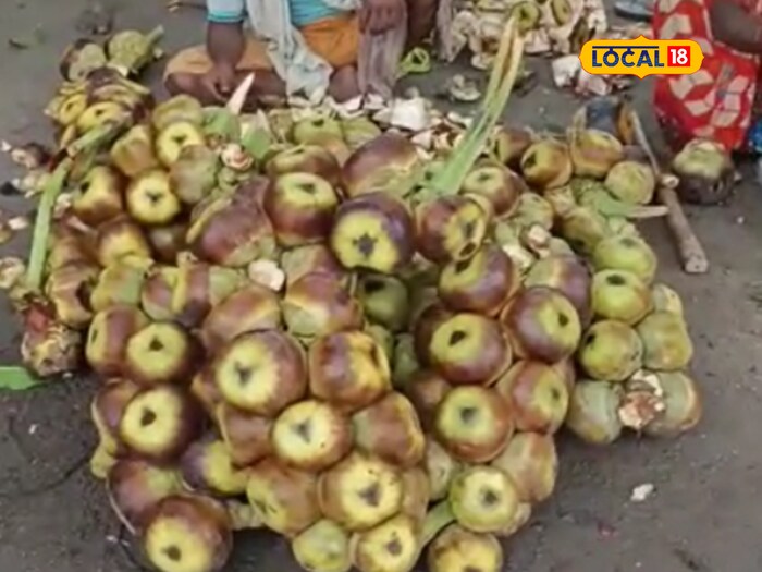 साल में केवल एक बार मिलता है ये फल, कब्ज को चुटकी बजाते कर देता है दूर ...