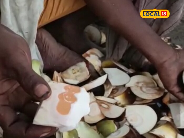 साल में केवल एक बार मिलता है ये फल, कब्ज को चुटकी बजाते कर देता है दूर ...